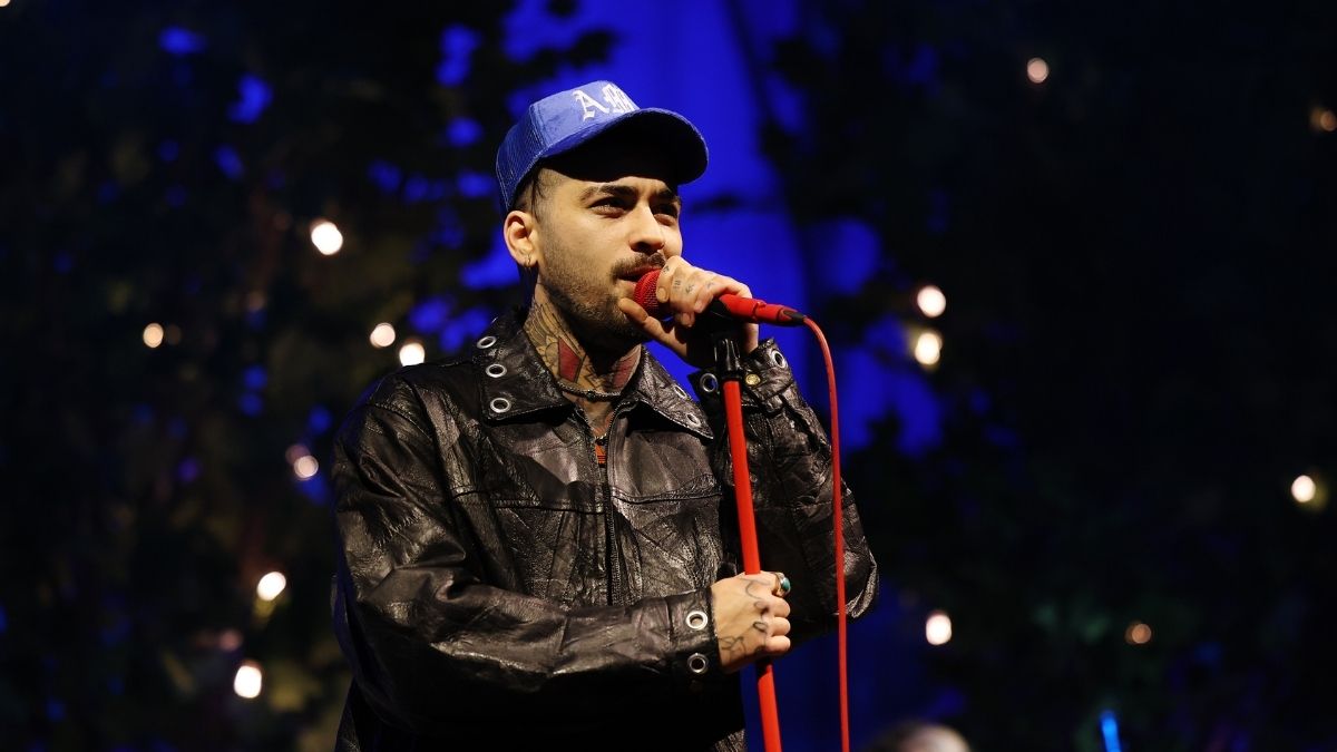 Zayn Malik Seemingly Shades Harry Styles Amid Costly Ticket Prices ...