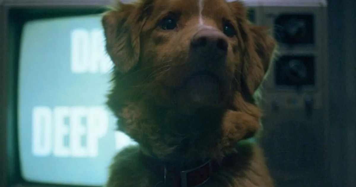 Good Boy Dog Topples Industry Legends for This Top Honor - Mandatory