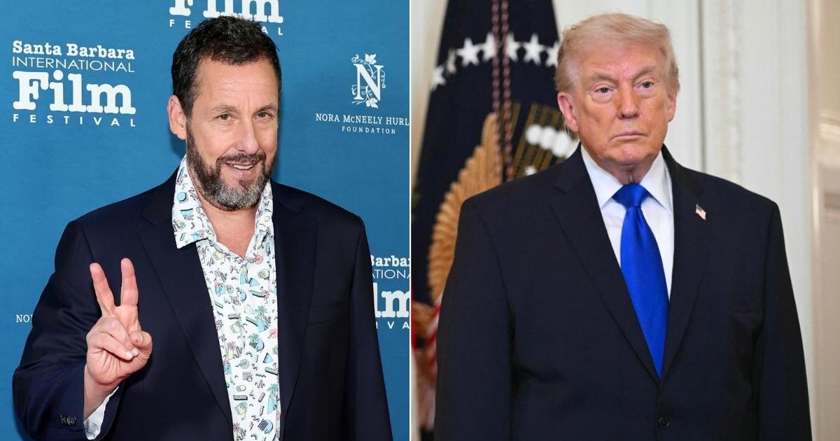 No, Adam Sandler Didn't Endorse 'Make America Trumpless Again' - Mandatory