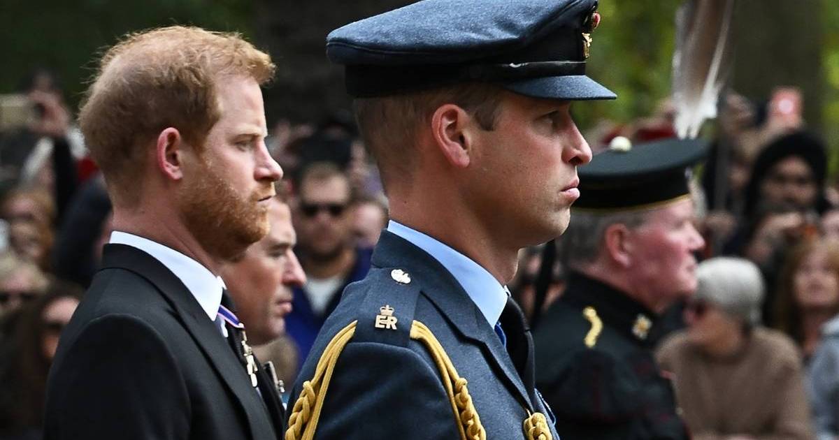 Prince Harry’s ‘Assault’ Claim Against Prince William Was a ‘Cheap Shot ...