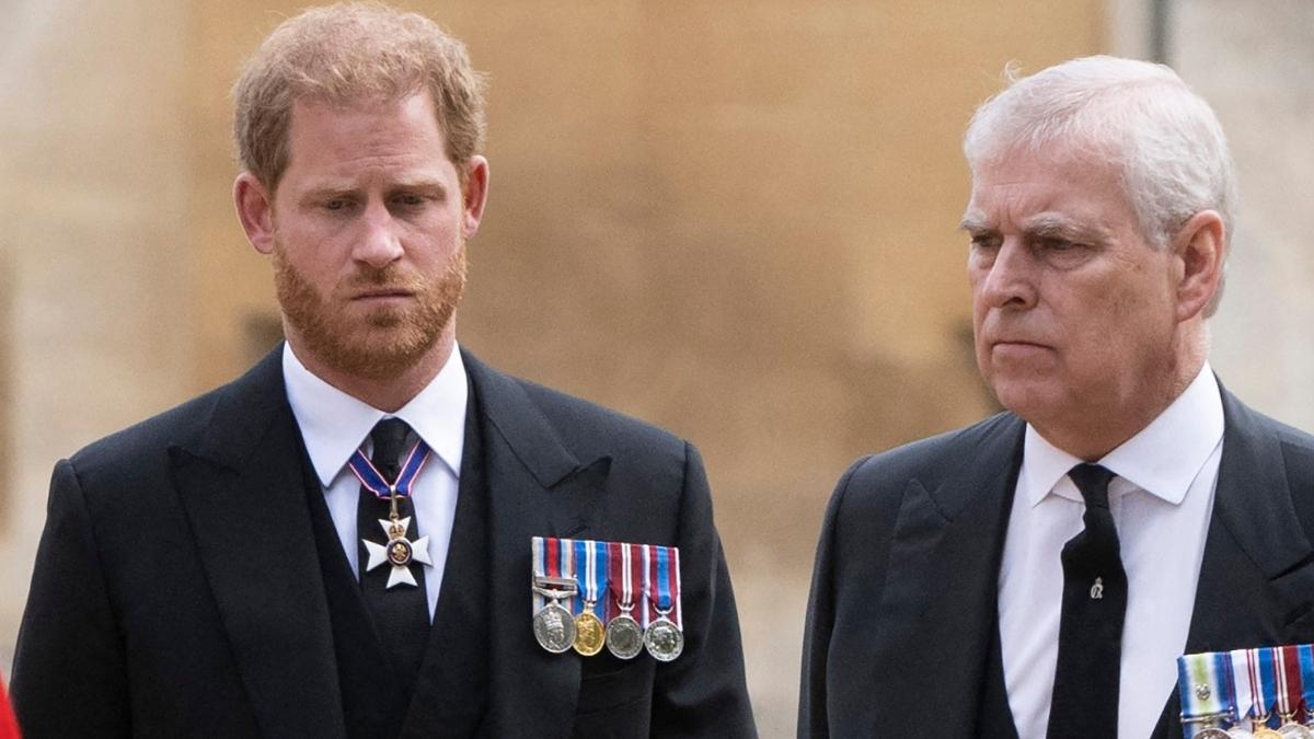 Expert Says Prince Harry Deserves Same Royal Fate as Ex-Prince Andrew ...