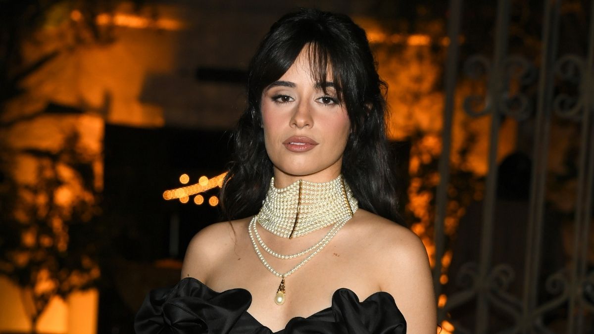Camila Cabello Is Single Again After Billionaire Boyfriend Henry Junior ...