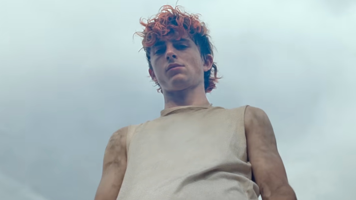 Timothée Chalamet Takes a Swipe at Oscars After Knicks’ NBA Finals Win ...