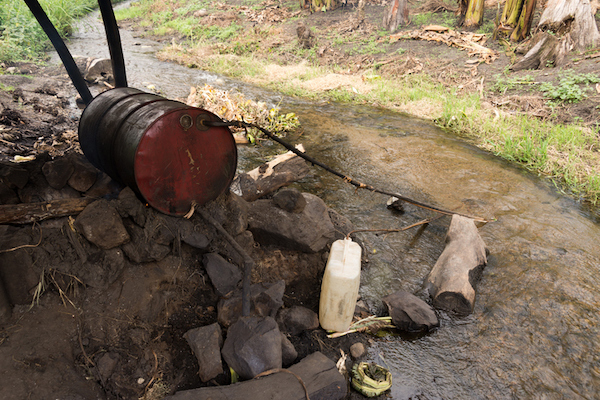 10 Weird Alcohols to Be Drunk (And Puked Up) From Around the World