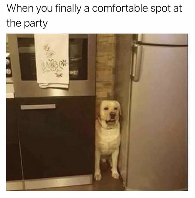 The Mandatory Monday Memes to Get Our March On to Next Weekend