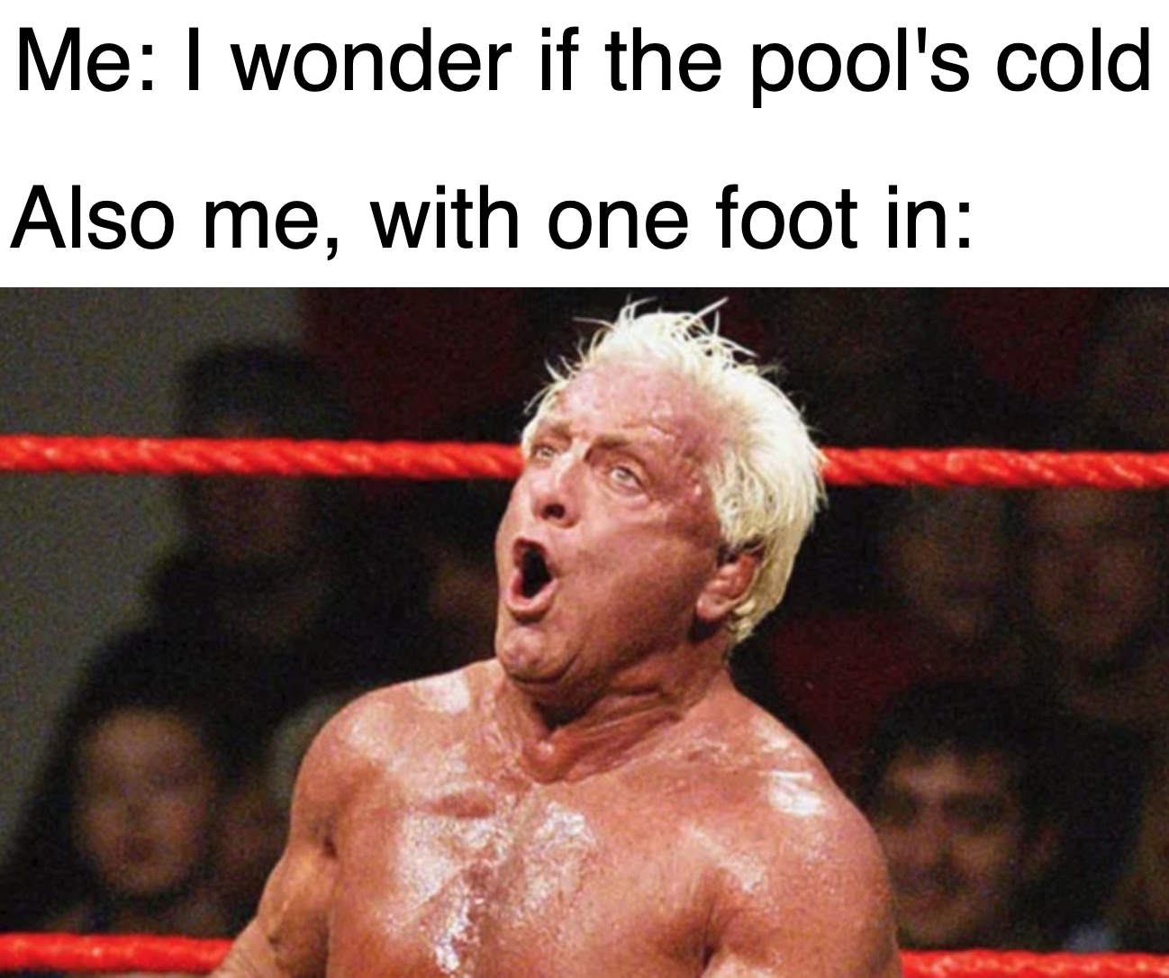 Mandatory Monday Memes: Ric Flair Birthday Edition - Mandatory
