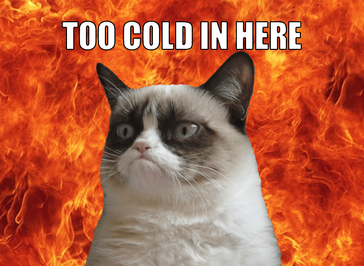 The Mandatory Monday Memes to Say Goodbye to Grumpy Cat