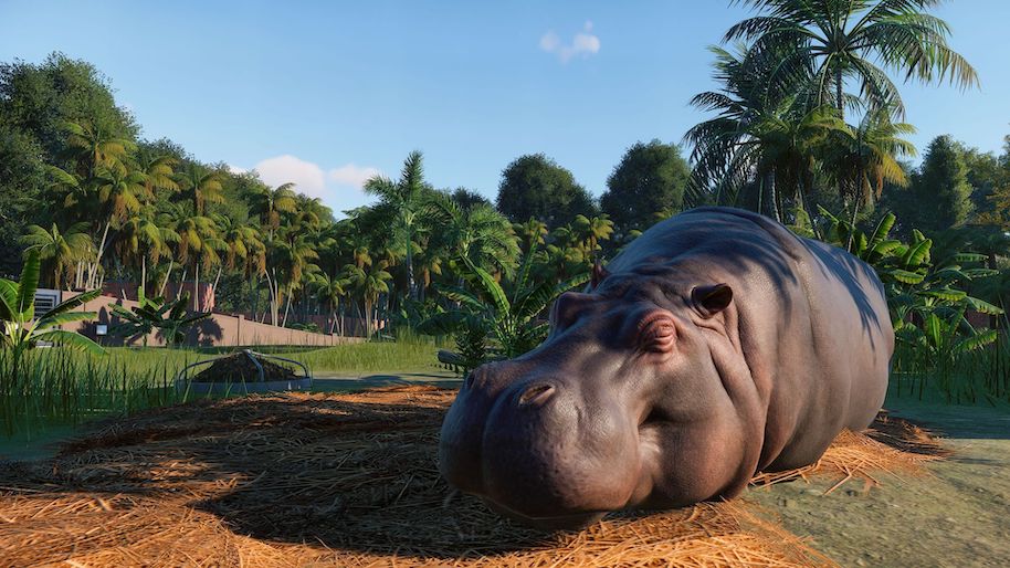'Planet Zoo' Simulation Spreads Awareness on the Dangers of Inbreeding ...