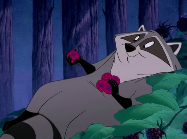 The Top Seven Movie Raccoons - Mandatory