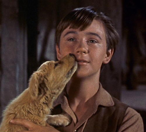 Exclusive | Watch an Early Animatic from Disney's 'The Jungle Book ...