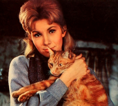 Exclusive | Watch an Early Animatic from Disney's 'The Jungle Book ...