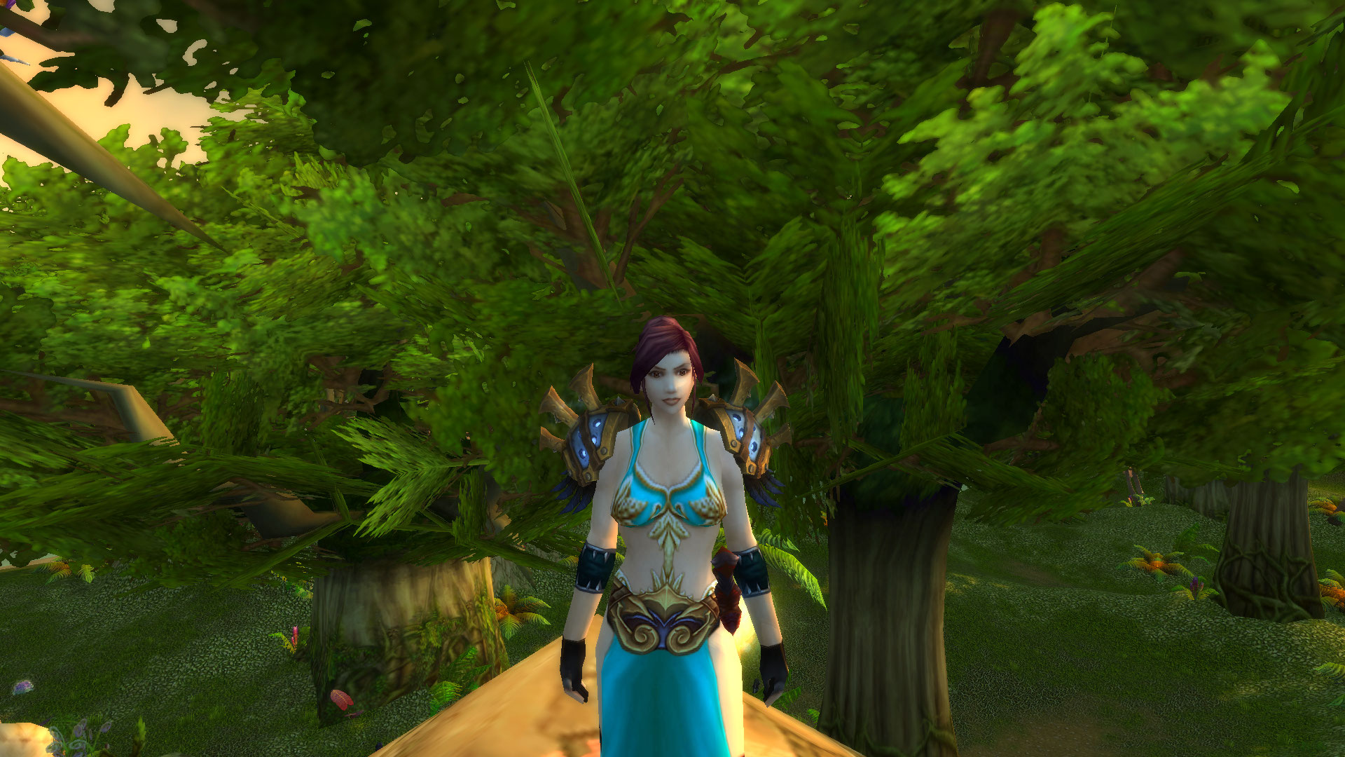 New WoW Character Models: Here's How My 5 Characters Look Before and ...